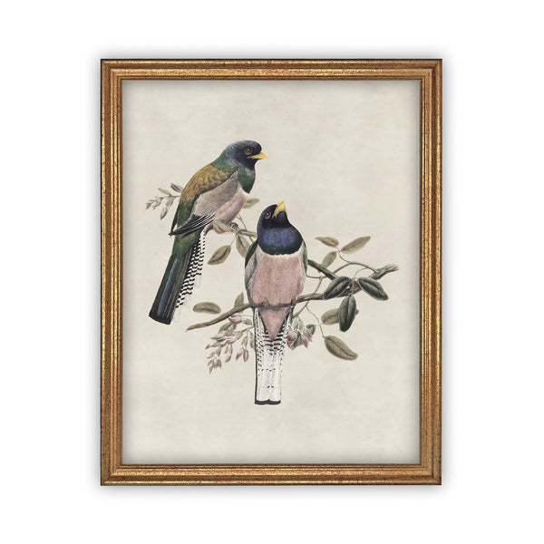 Framed Vintage Art – Linen + Cloth